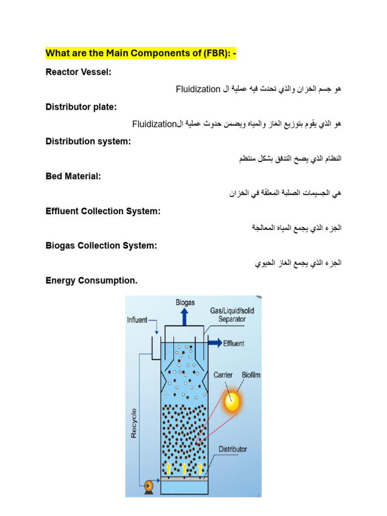 What Are The Main Components of (FBR) : - : Reactor Vessel | PDF