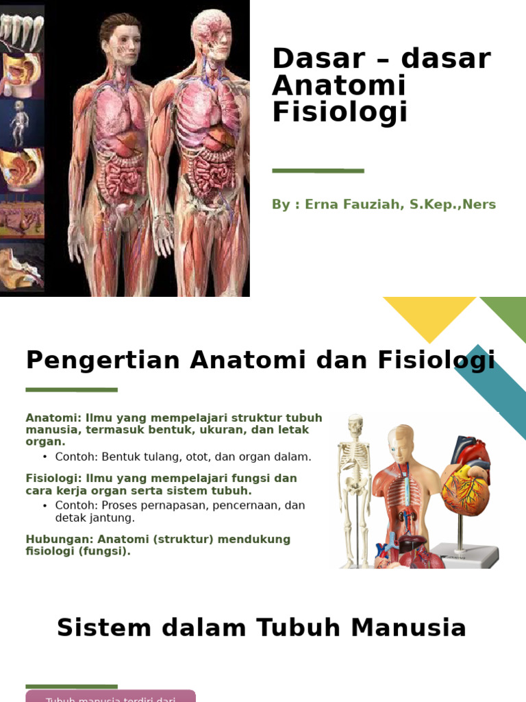 Dasar - Dasar Anatomi Fisiologi | PDF