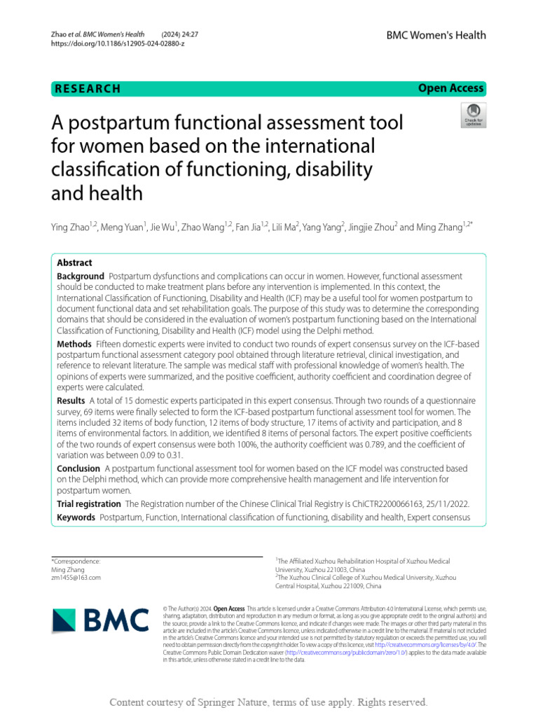 A Postpartum Functional Assessment Tool For Women | PDF | Creative ...