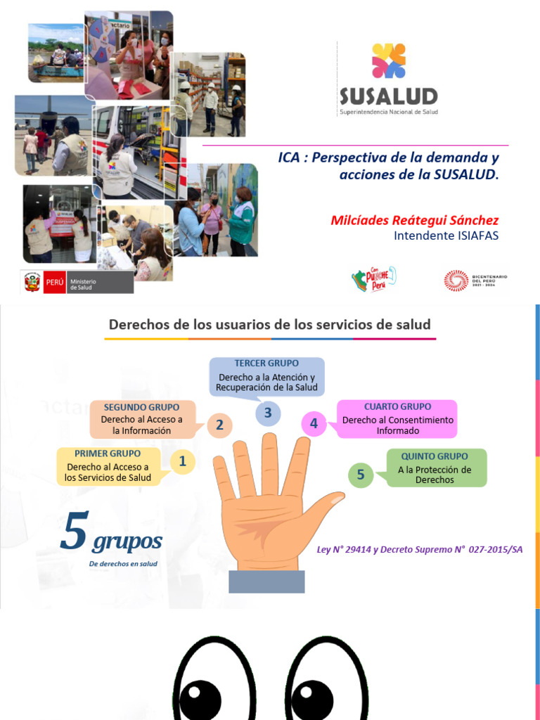 PPT Ica - PMR - Demanda - Pas-Dr. Milciades Reategui | PDF