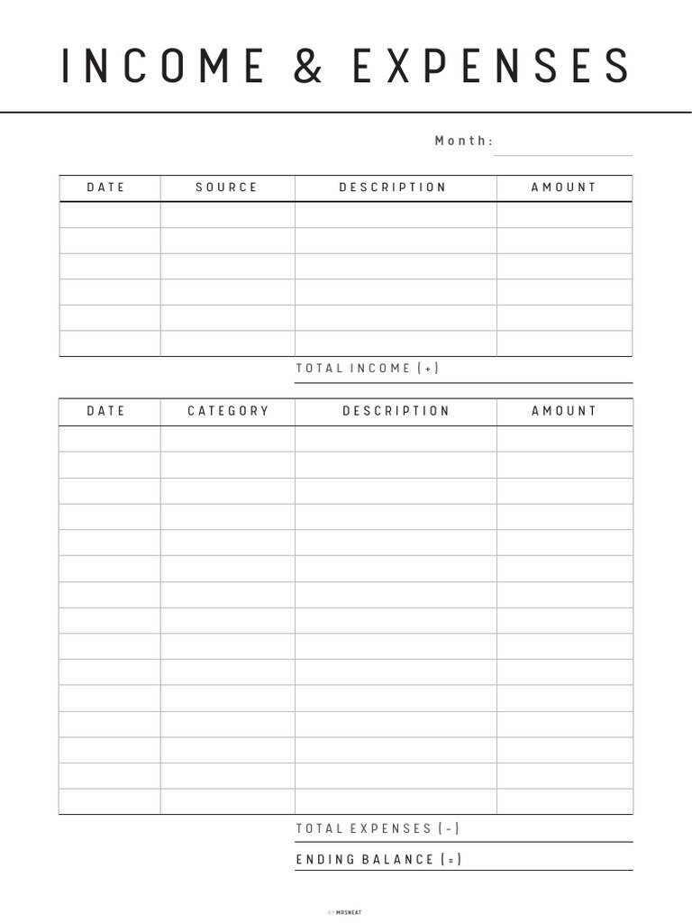 Monthly Income and Expenses Report | PDF | Financial Accounting ...