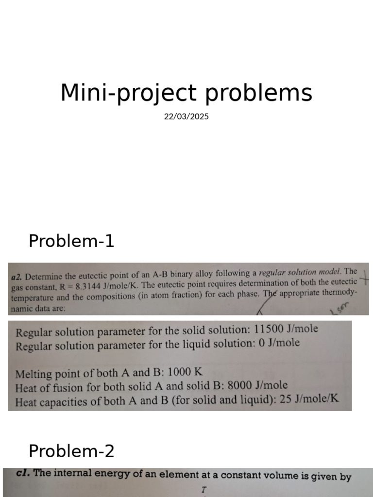 Mini Project Problems | PDF