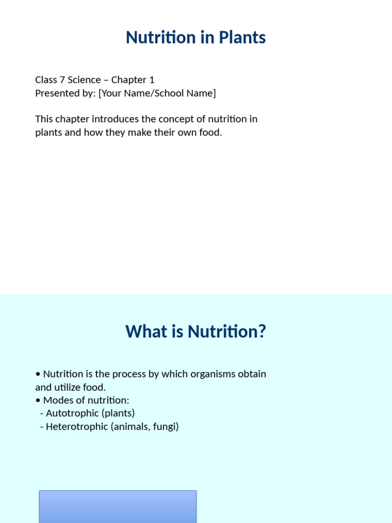 Nutrition in Plants for Class 7 | PDF
