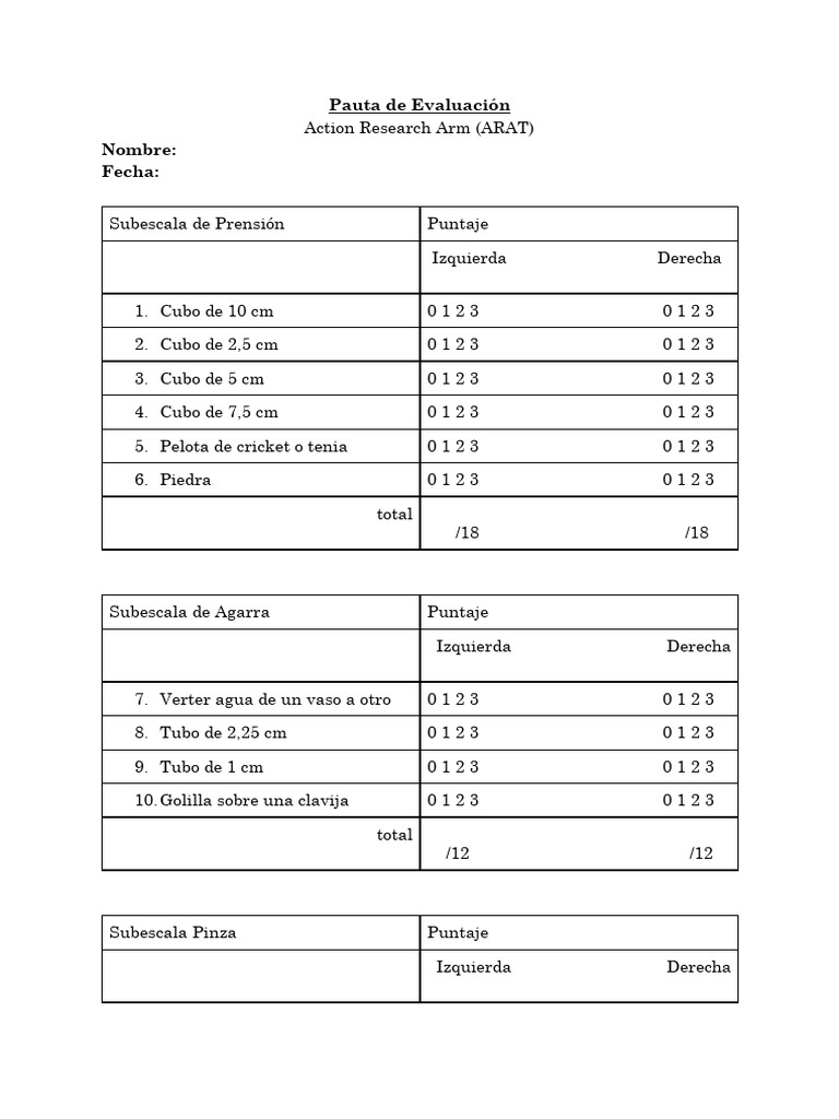Pauta de Evaluación ARAT | PDF | Mano