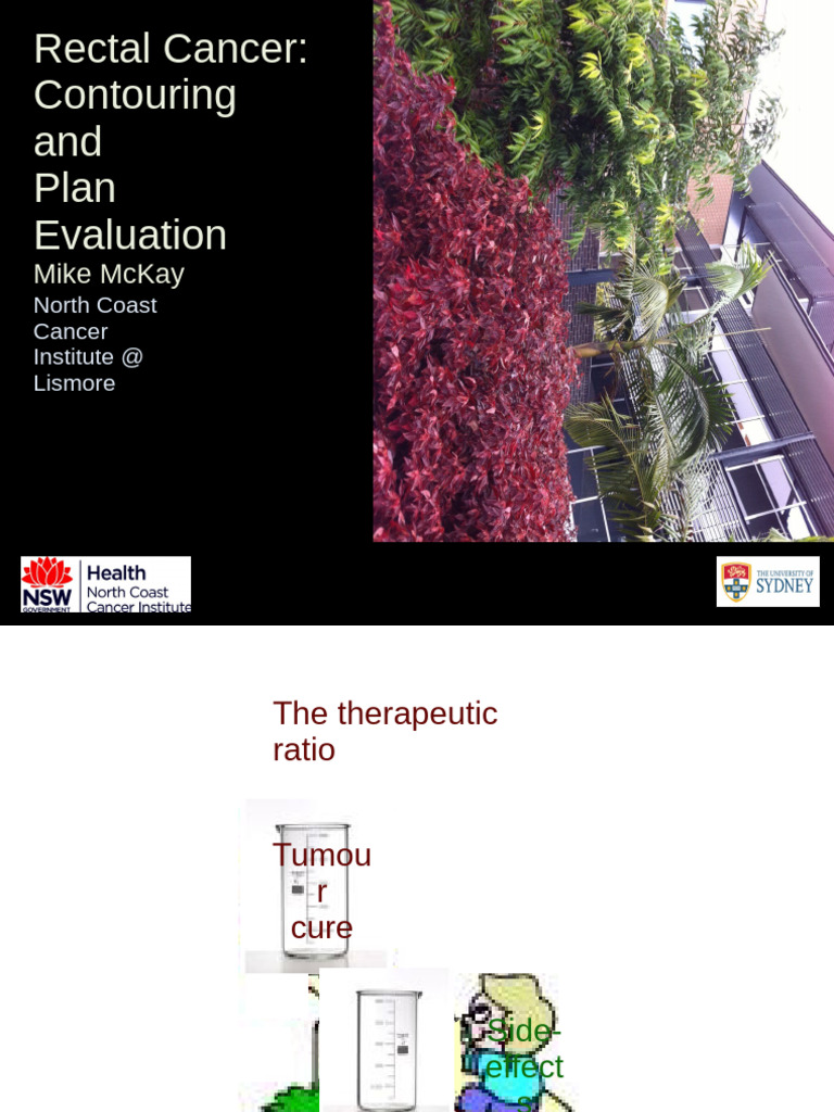 Rectal CA Contouring - McKay 2 | PDF | Rectum | Radiation Therapy