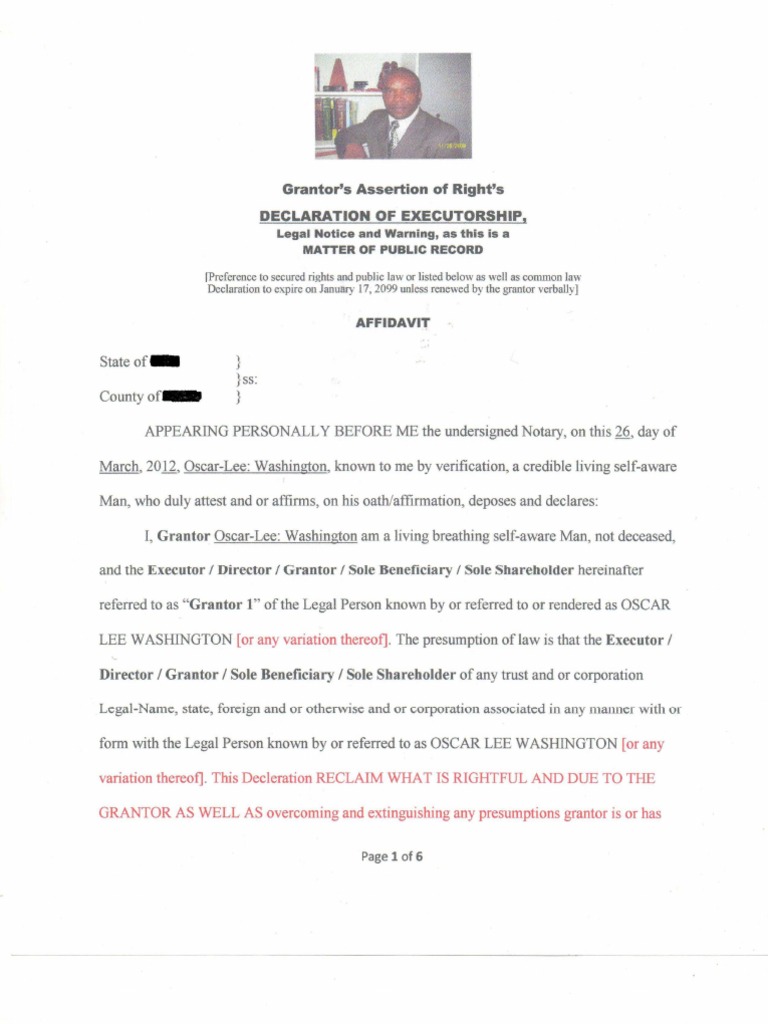 Declaration of Executorship | PDF