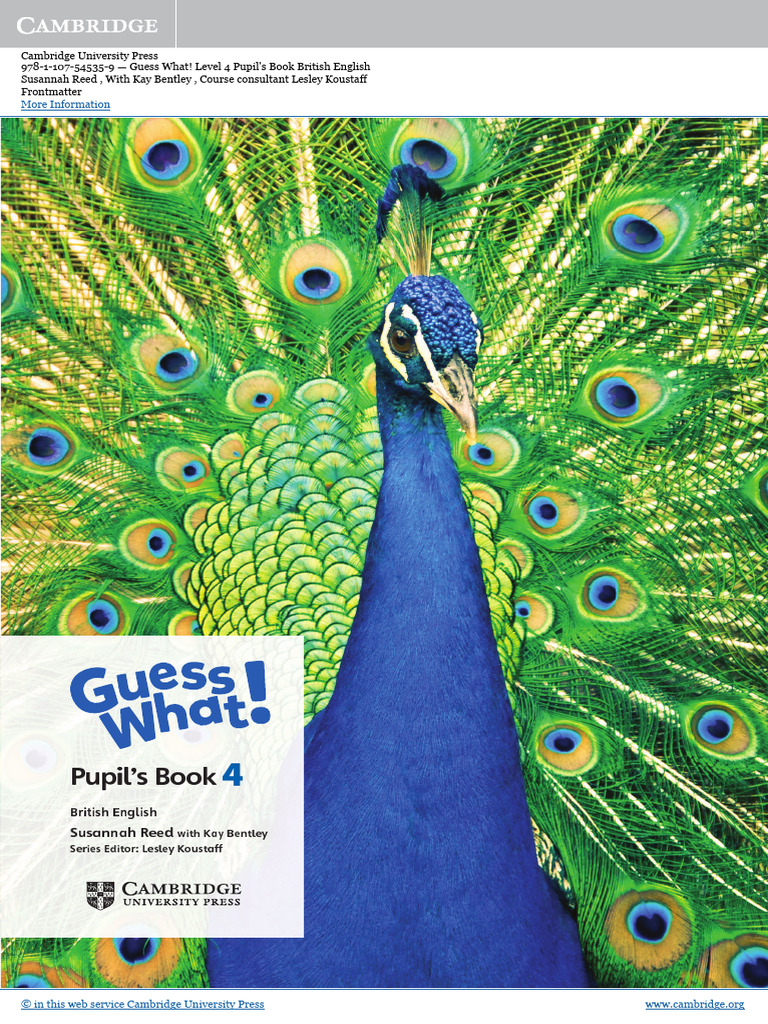 Guess What! Level 4 Pupil's Book | PDF