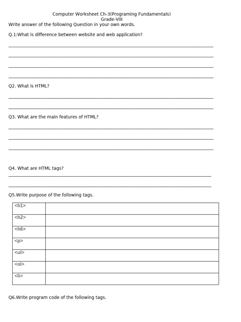 Computer Worksheet Grade IX | PDF
