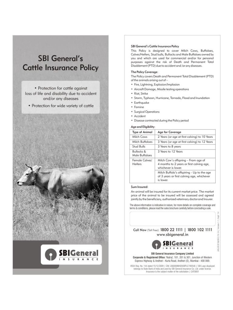 SBI General's Cattle Insurance Policy | PDF | Cattle | Insurance