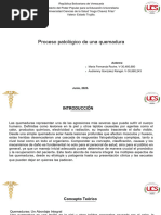 Quemaduras Faciales y Signos de Flogosis | PDF | Quemar | Inflamación