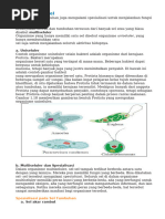 Spesialisasi Sel | PDF