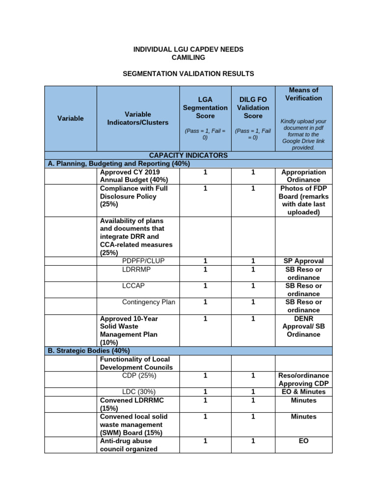 LGU Capacity Development Needs Analysis | PDF