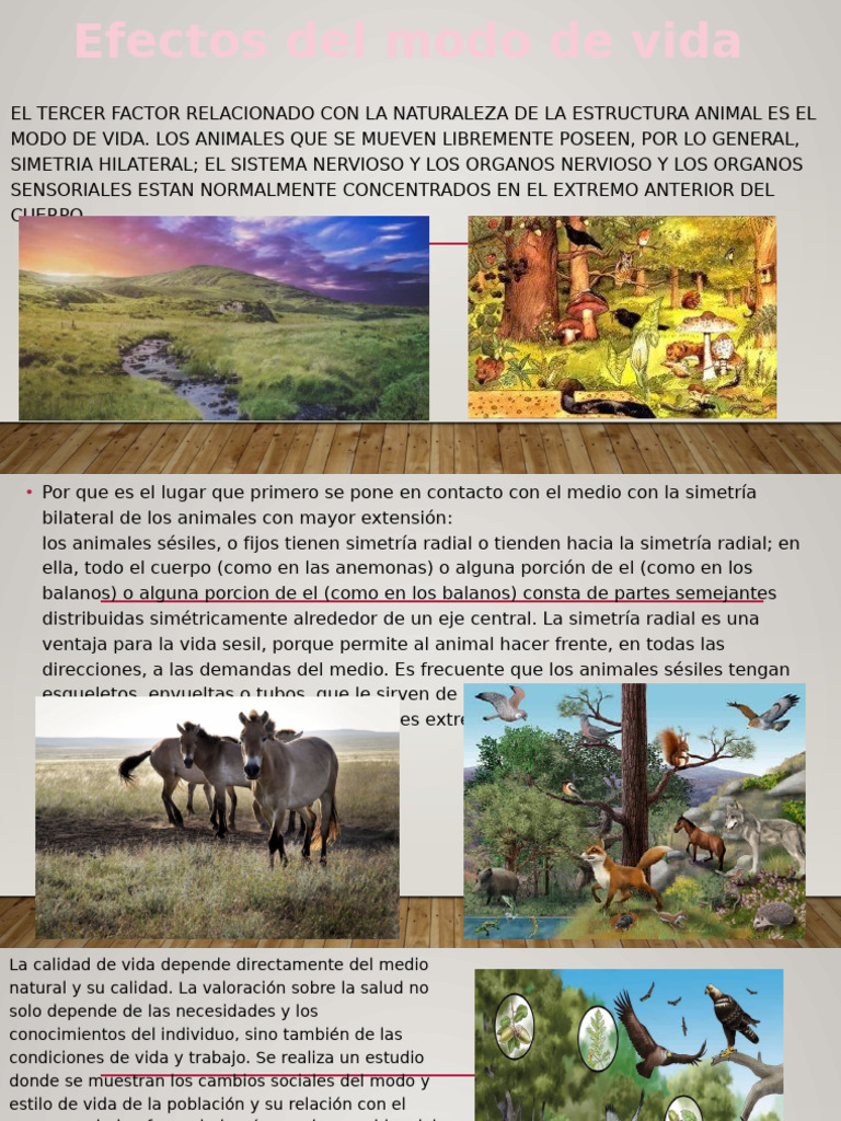Modo de vida y salud en animales y humanos | PDF | Vida | Simetría