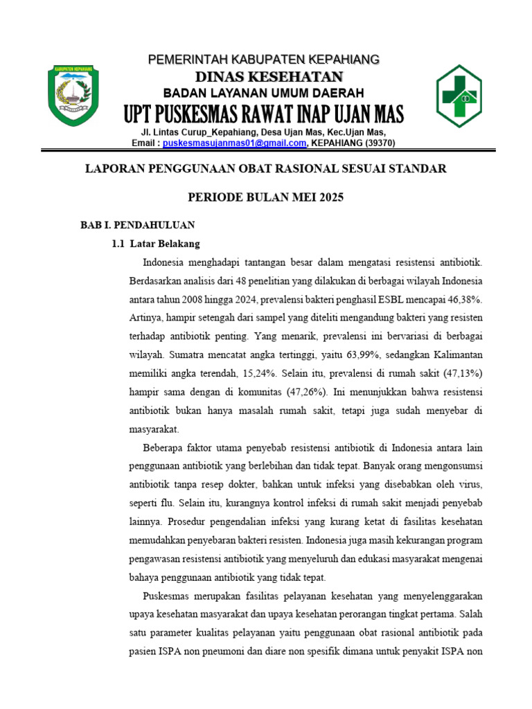 Laporan Penggunaan Obat Rasional Sesuai Standar MEI25 | PDF
