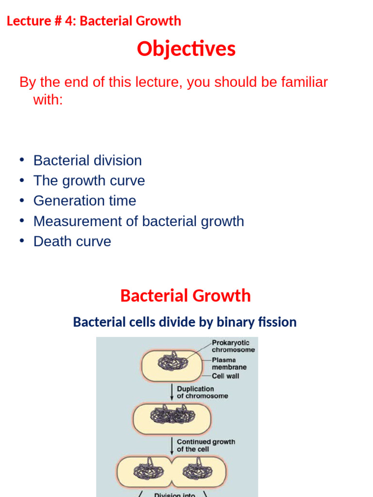 Lec4. Bacterial Growth | PDF | Bacteria | Biology