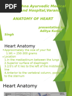 Heart Anatomy | PDF