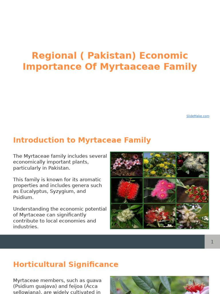 Muhammad Jumman | PDF