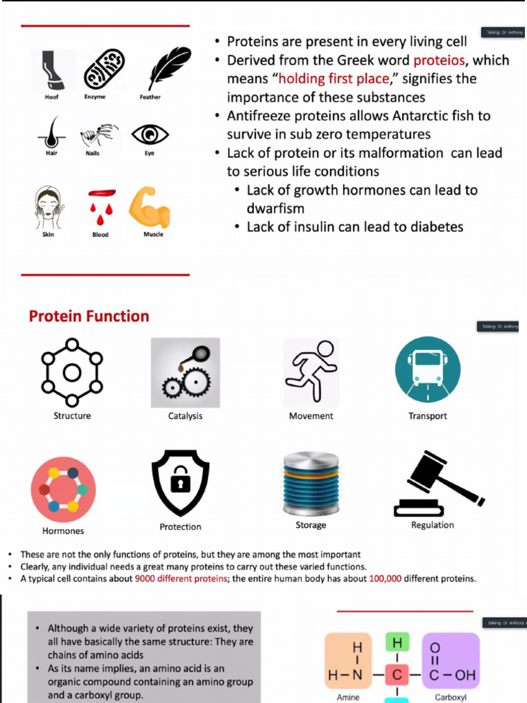 8.Structural Proteins Screen Shots | PDF