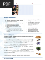 Anaphylaxis Emergency Kit Checklist | PDF