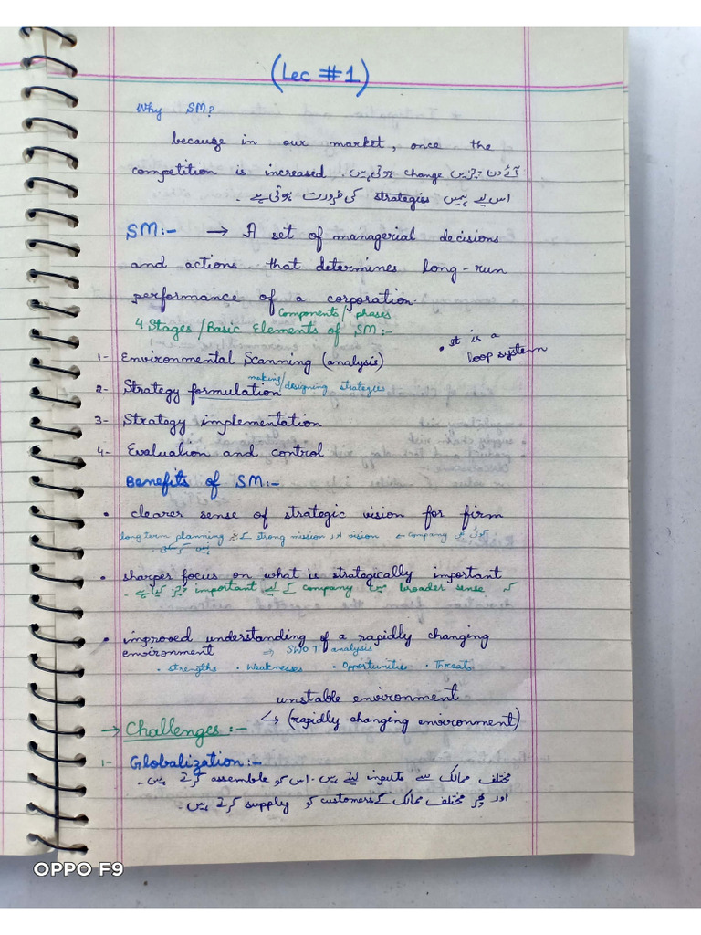 SM Notes by Eisha-1 | PDF