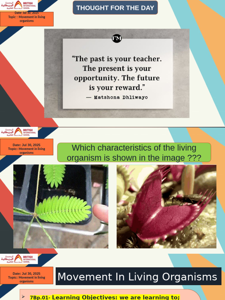 Lesson 2 - Movement in Living Organisms | PDF | Organisms | Learning