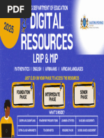 Isizulu Grade 6 Term 3 Lesson Plan | PDF