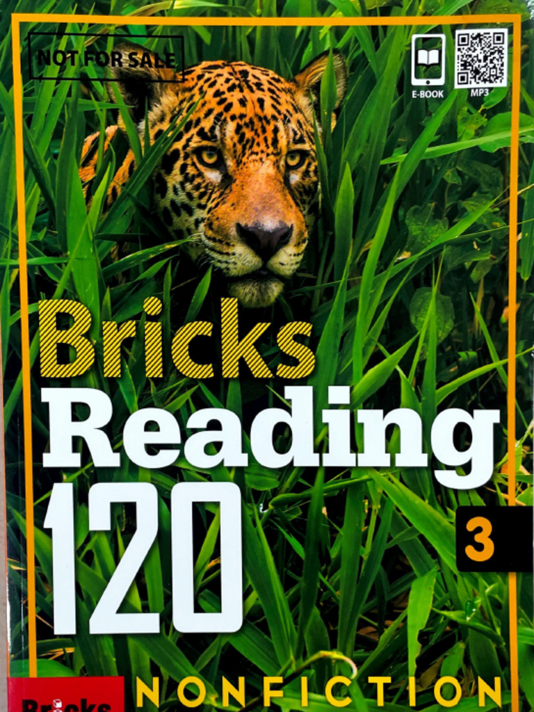 Bricks Reading 120-3 SB + WB | PDF