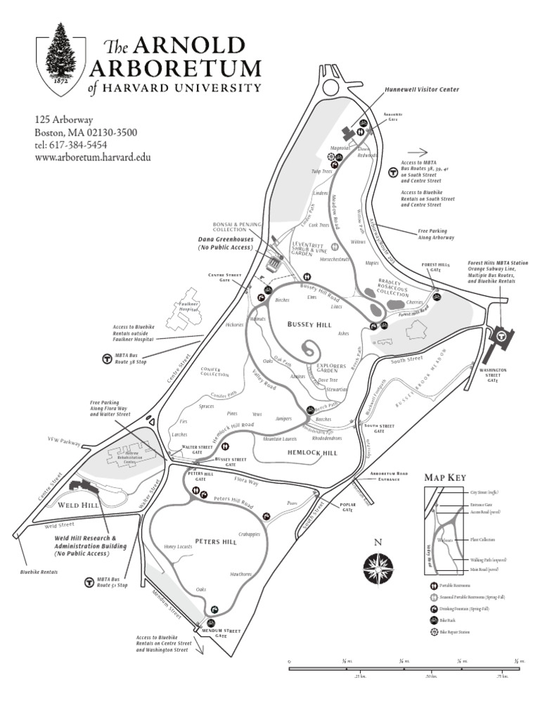 Arnold Arboretum Map 12.2024 2 | PDF | Trees | Plants