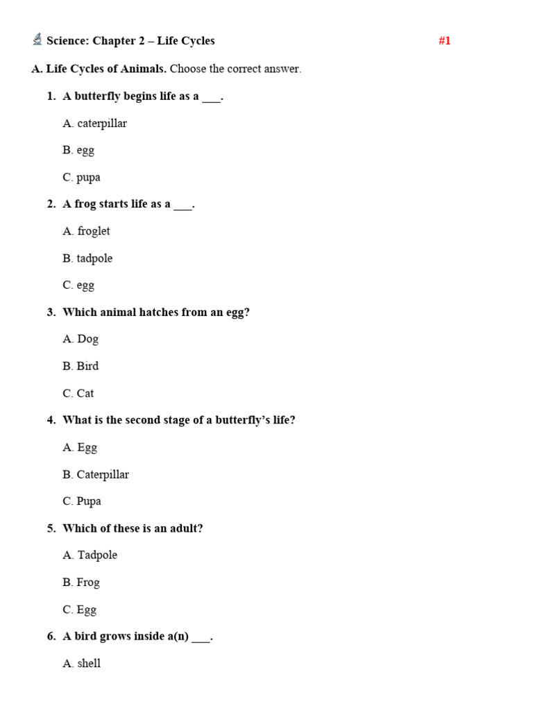 ? Science - Pri 3 - Life Cycles #1 | PDF | Frog | Butterfly