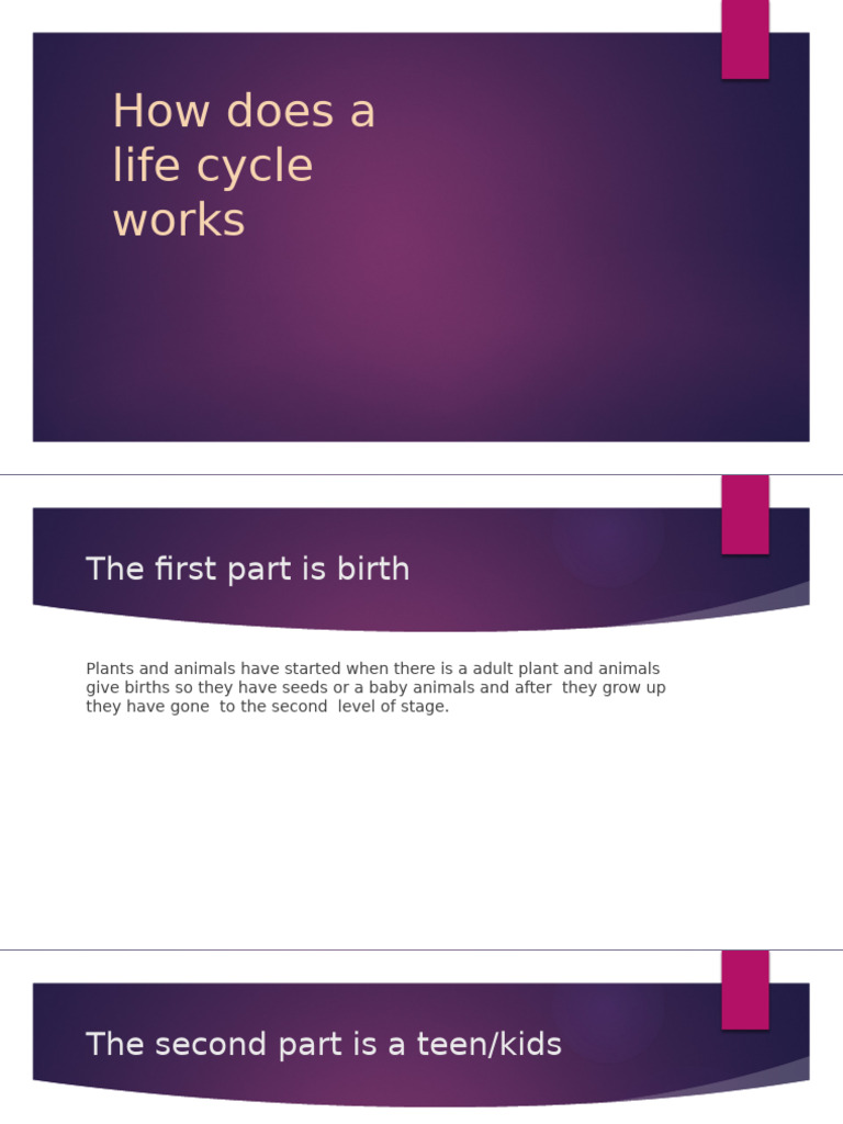 How Does A Life Cycle Works | PDF
