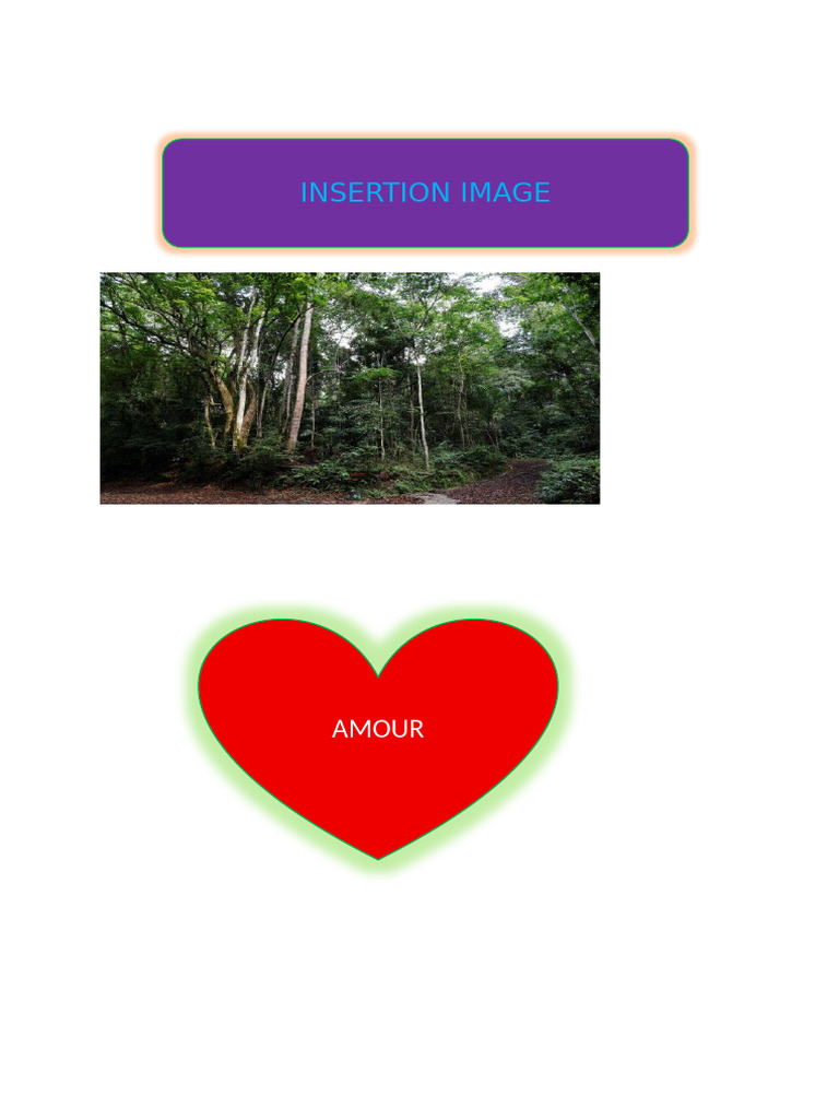 Insertion Image | PDF