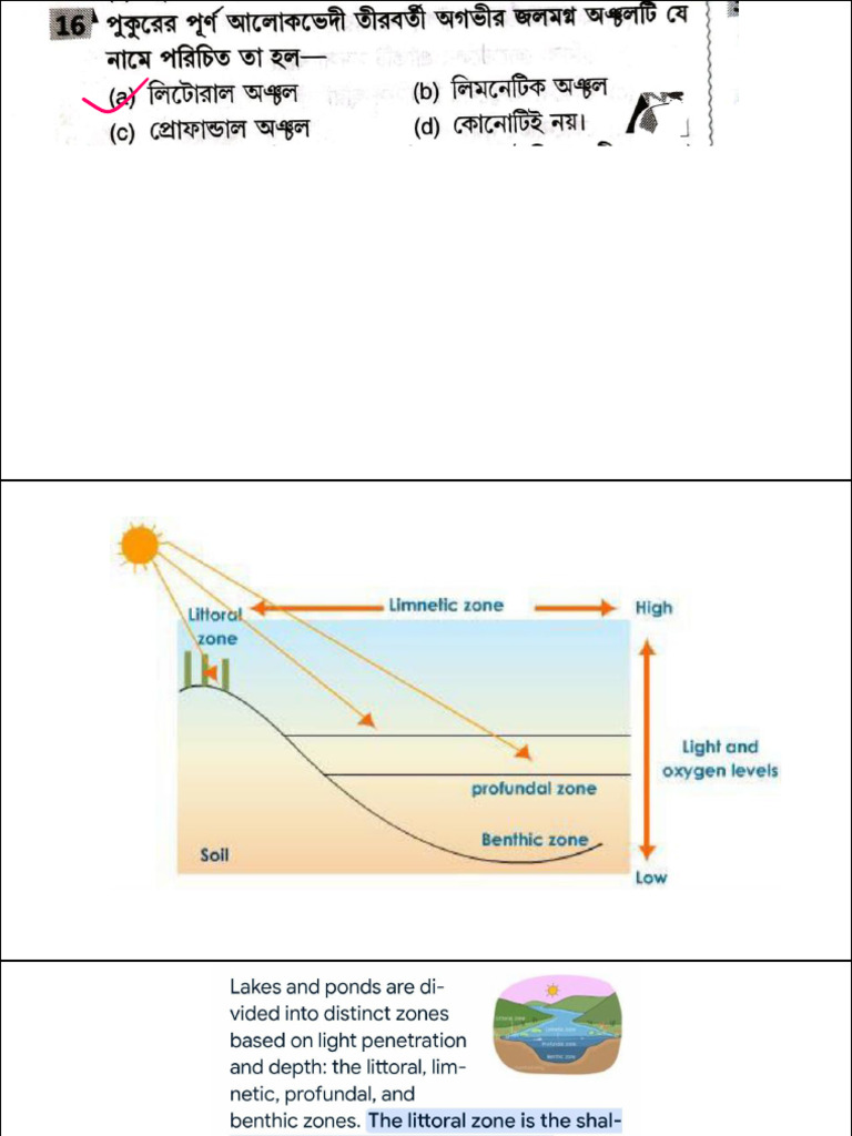 Rasid Sir 26th July Bio Class | PDF