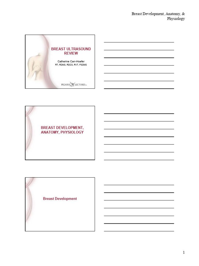 Stages of Breast Development Explained | PDF | Breast | Lymphatic System