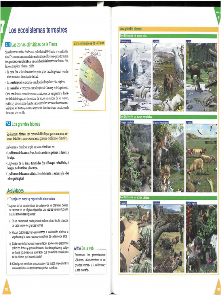 Ecosistemas Terrestres y Españoles | PDF