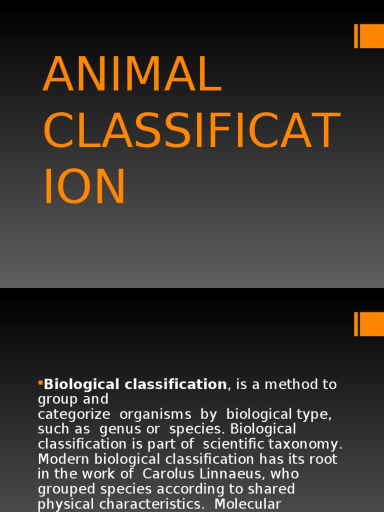 Animal Classification | PDF | Protozoa | Zoology
