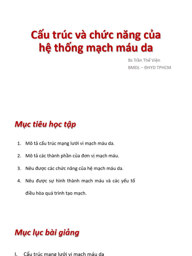 Cấu Trúc Và Chức Năng Của Hệ Thống Mạch Máu Da | PDF