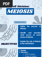 Amoeba Sisters Meiosis Overview | PDF | Meiosis | Chromosome