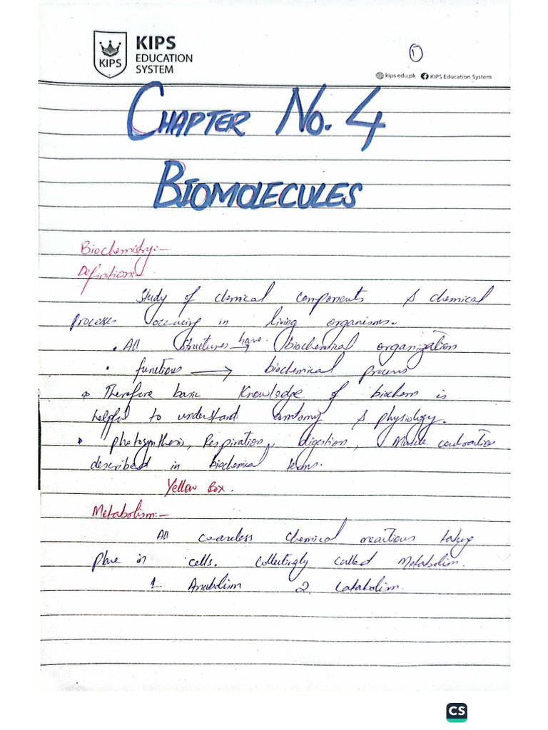Biology Chapter 4 | PDF