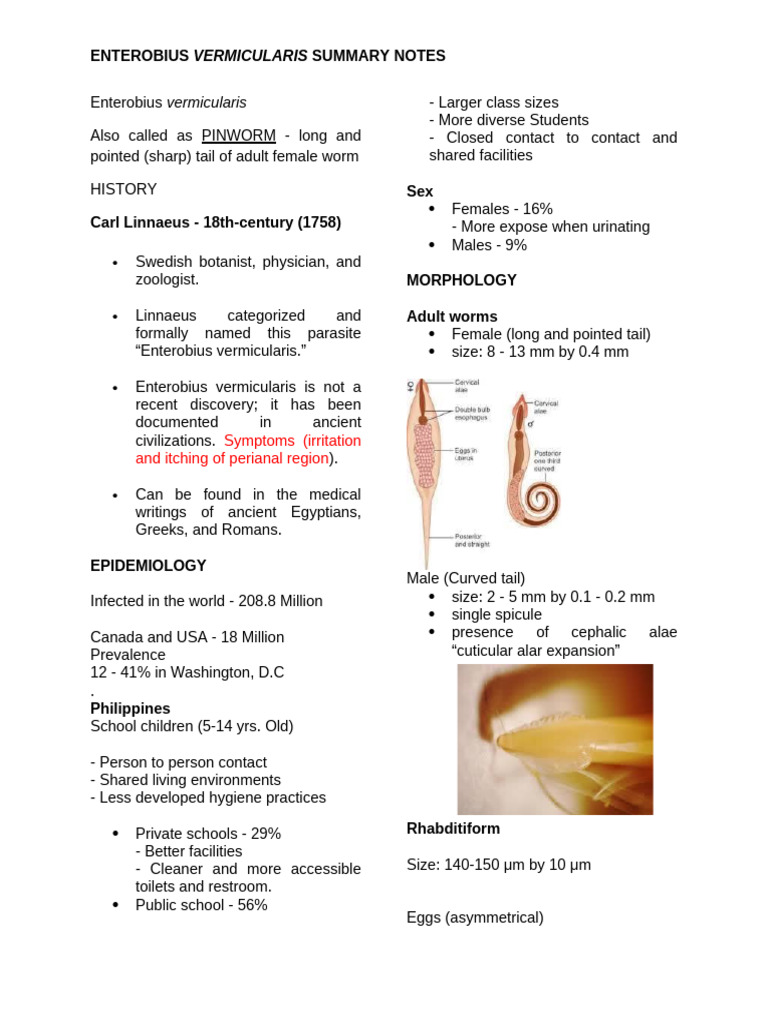 Enterobius Vermicularis Overview | PDF | Parasitology | Clinical Medicine