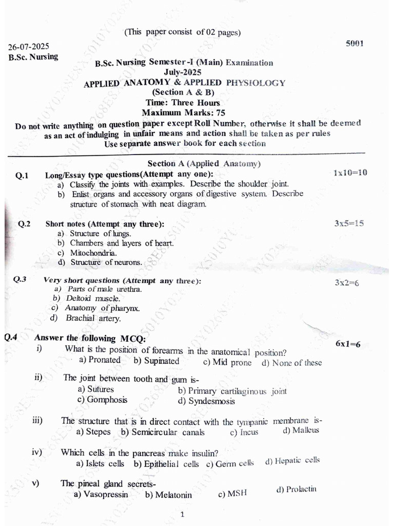 BSC Nursing 1st Semester (Main) Exam July 2025 | PDF