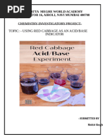 Purple Cabbage Acid-Base Indicator Experiment | PDF | Ph | Acid