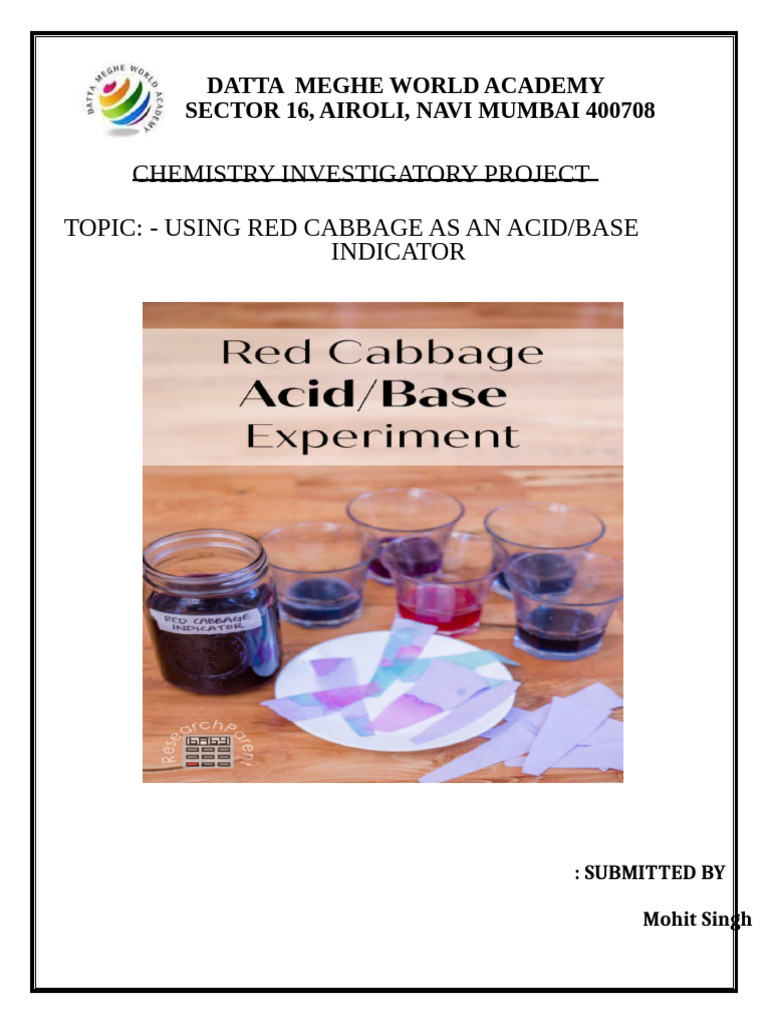 Red Cabbage as pH Indicator Experiment | PDF | Ph | Acid