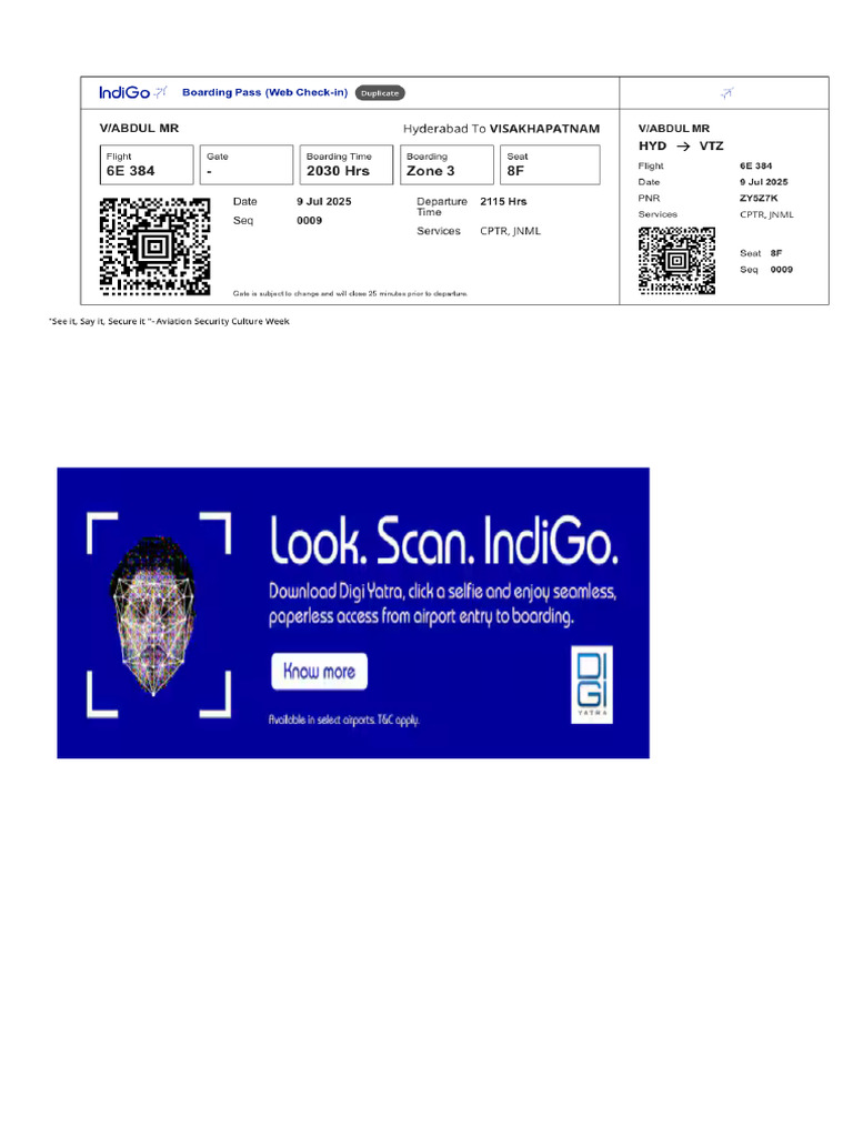 Boarding Pass | PDF