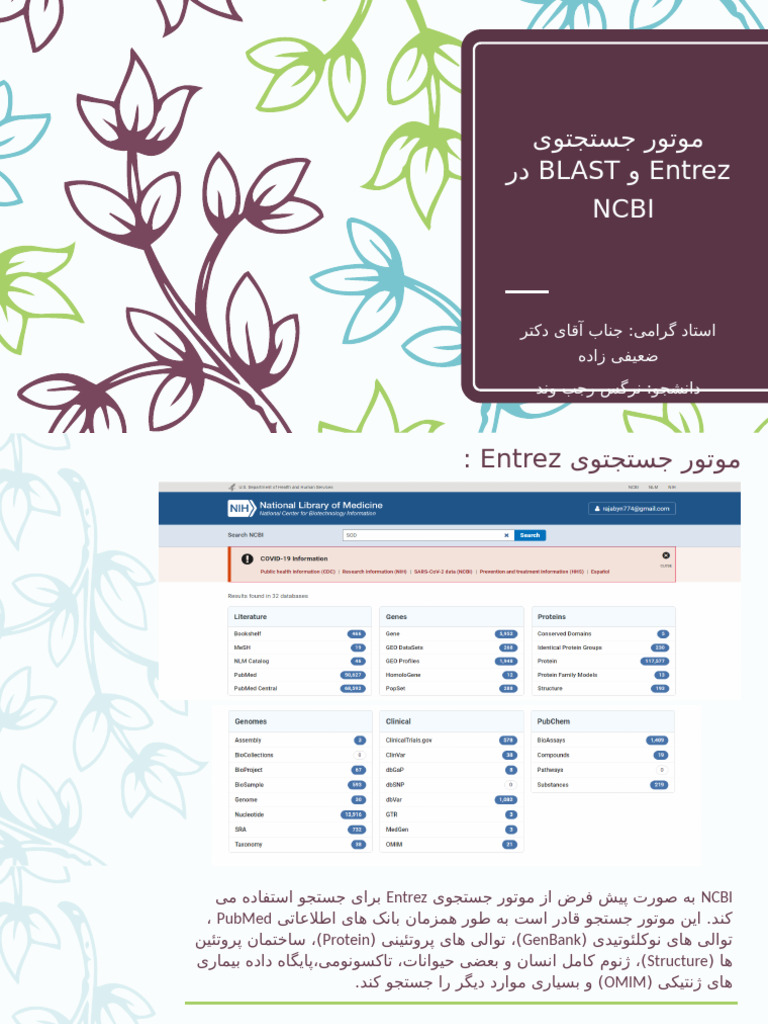 Blast | PDF