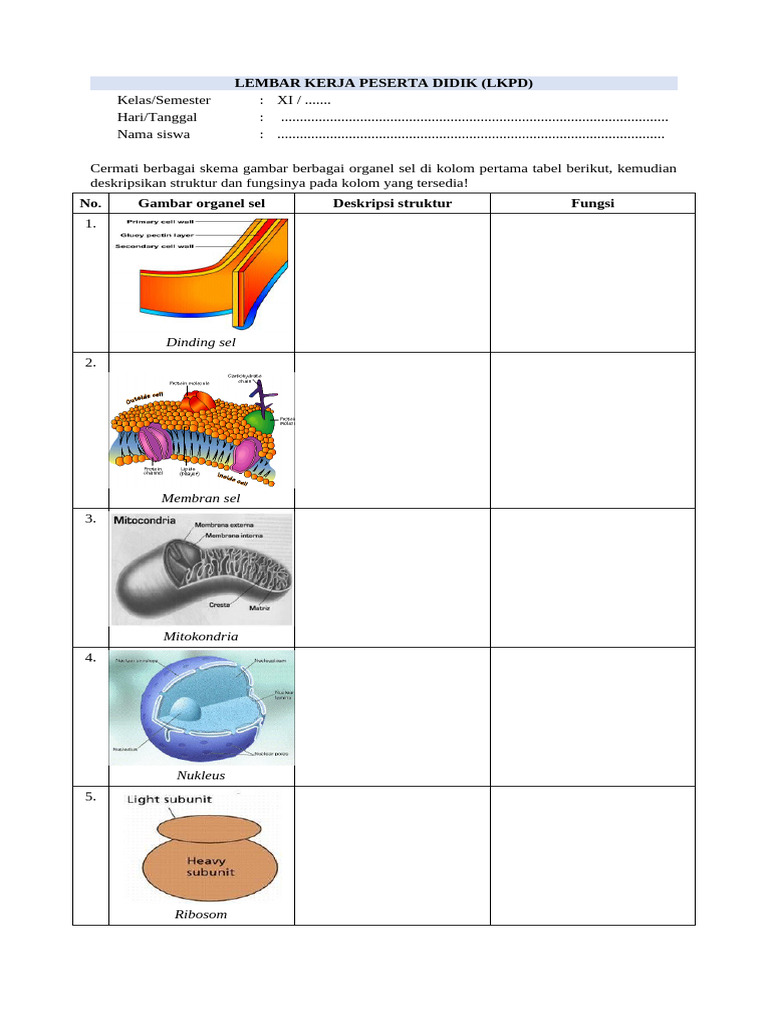 Lembar Kerja Peserta Didik | PDF