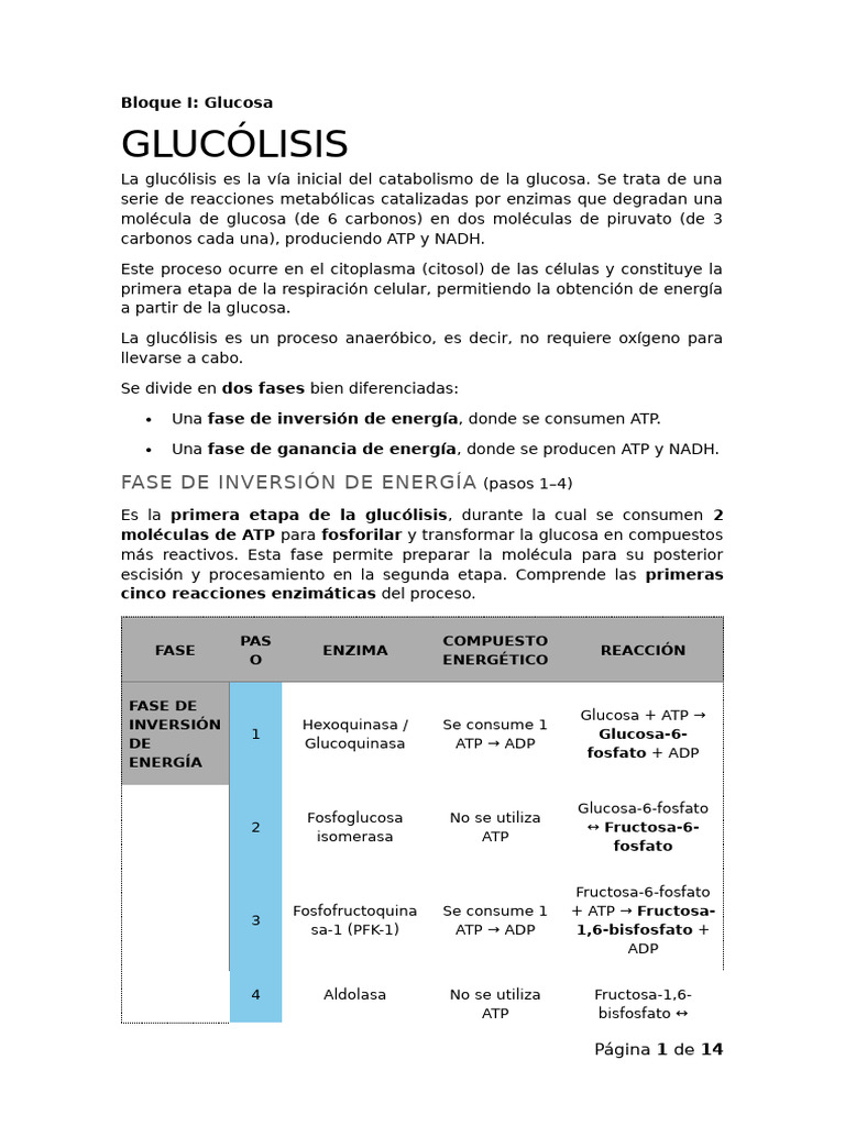 Glucólisis: Proceso y Fases Metabólicas | PDF | Glucólisis | Trifosfato ...