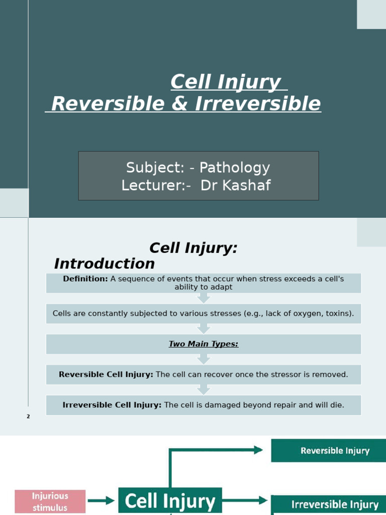 Cell Injury (Reversible & Irreversible) | PDF