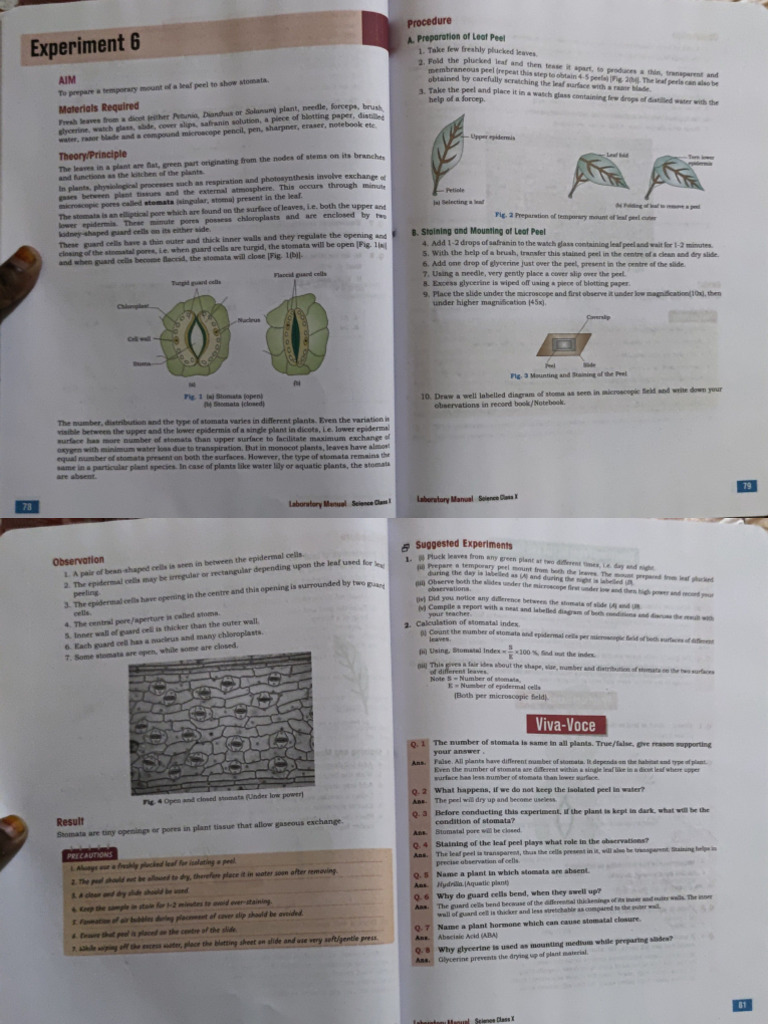 Biology Practice Paper | PDF