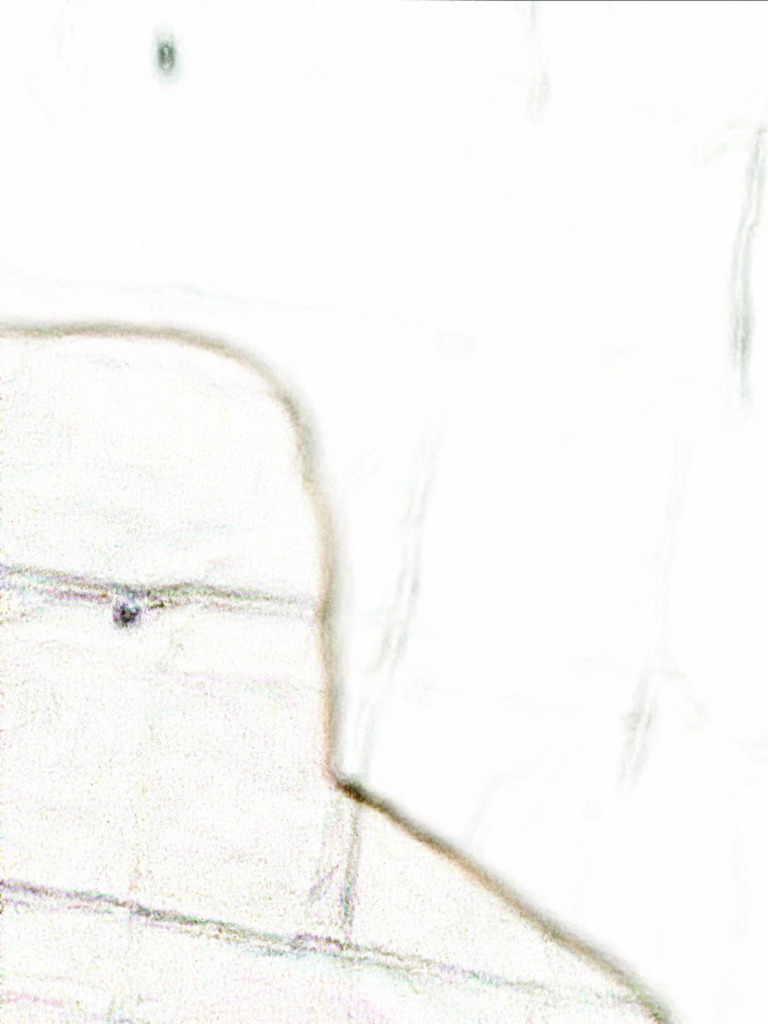 New Document (93) 30-Jul-2025 22-20-17 | PDF