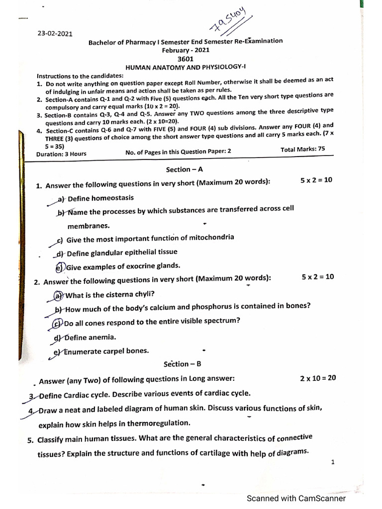 B PH I Sem University Exam Paper | PDF